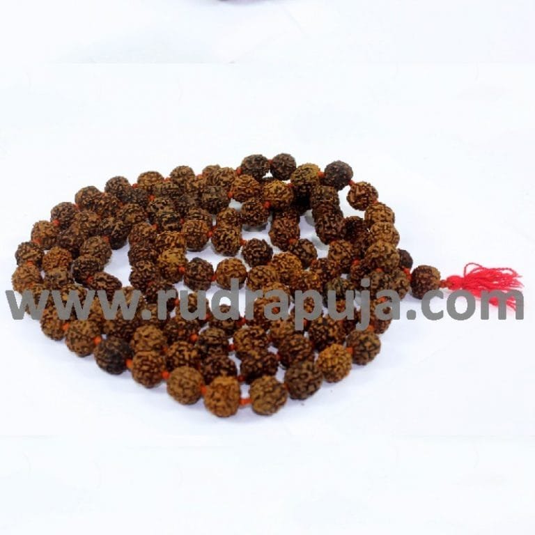 Buy Authentic 9 Mukhi Rudraksha Mala (Durga Mata Mala) | Rudrapuja