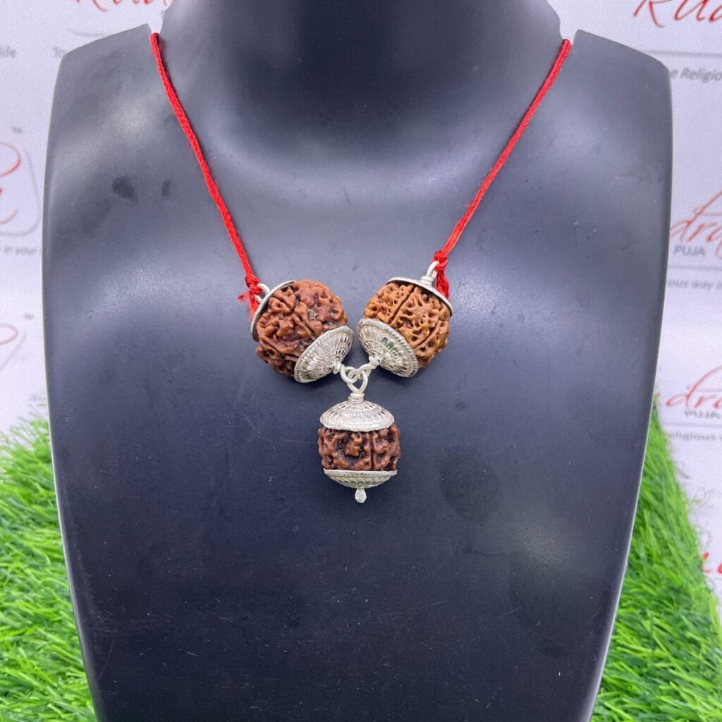 Buy Saraswati Rudraksha Combination For Education And Creativity Online ...